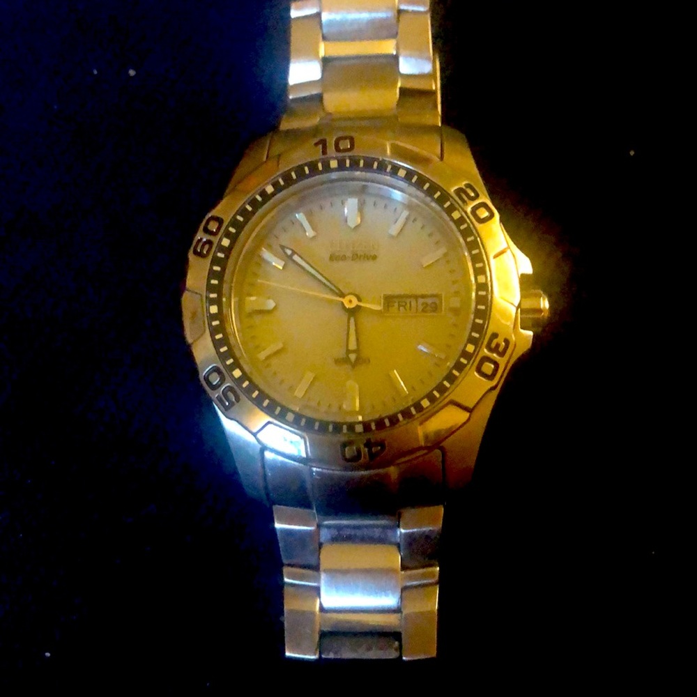 Citizen Women Eco Drive Watch - Gem